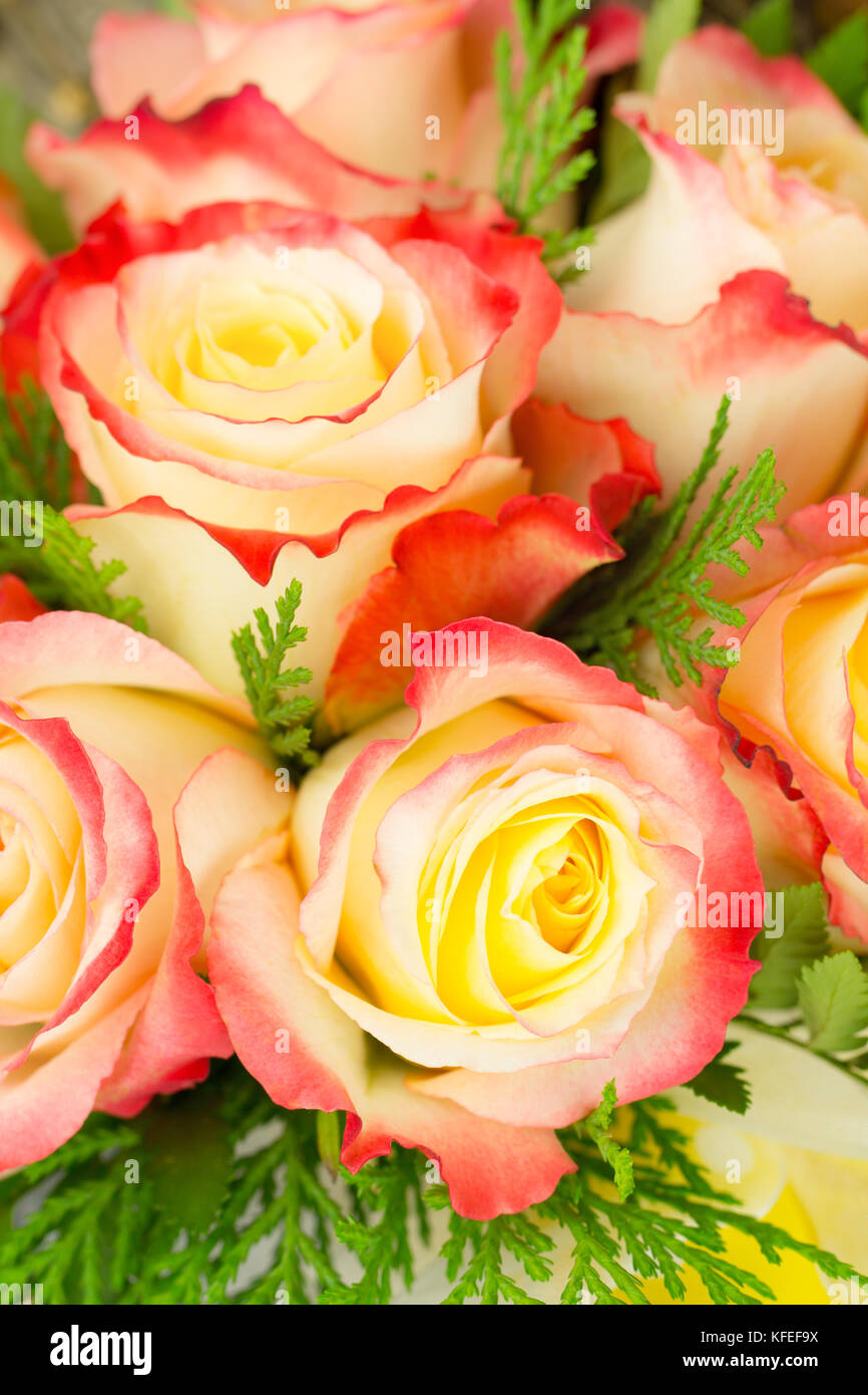 Copy spaoce hi-res stock photography and images - Alamy