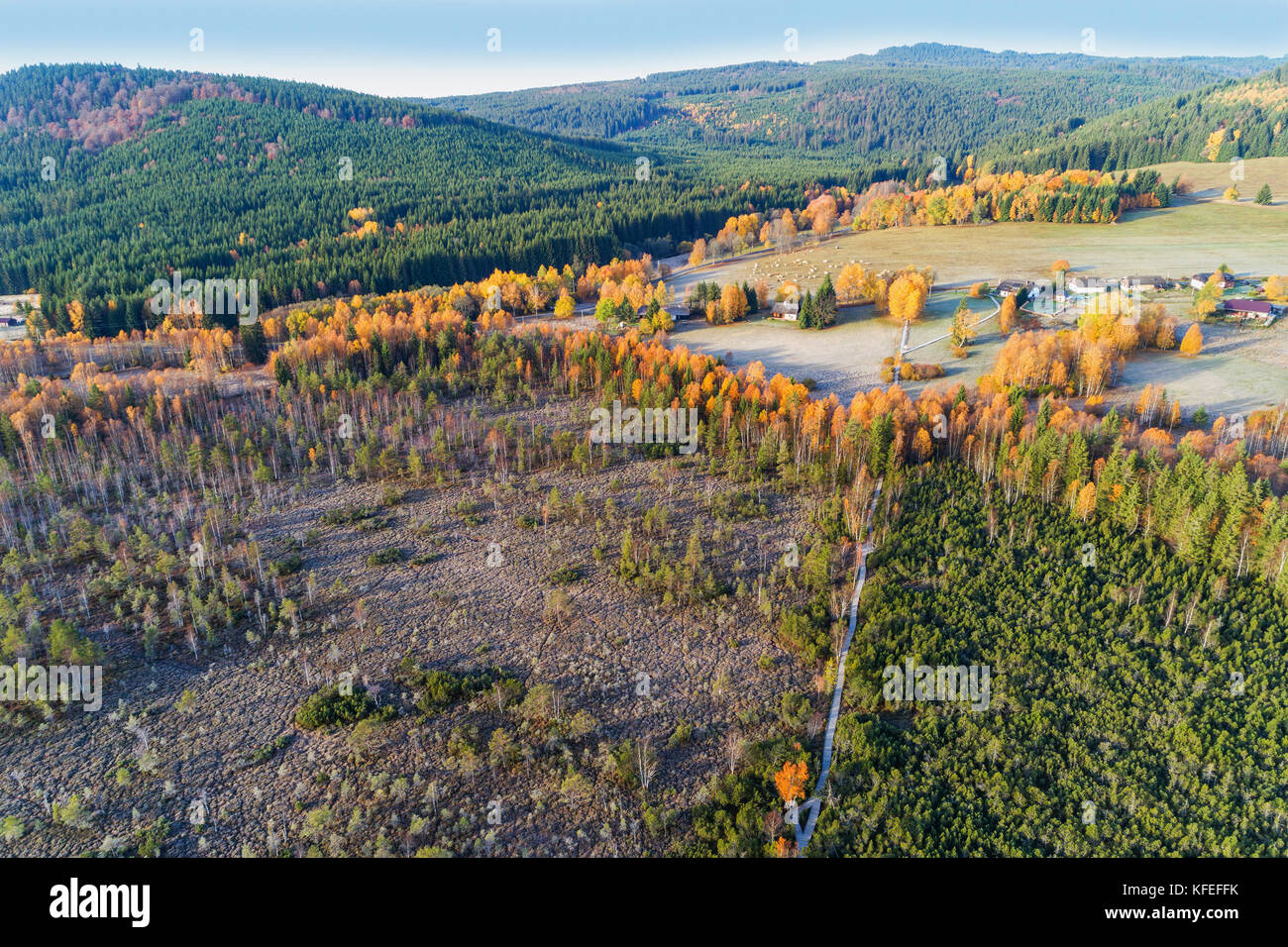 Aerial view on forest. Autumn in Sumava, Beautifully colored trees in ...