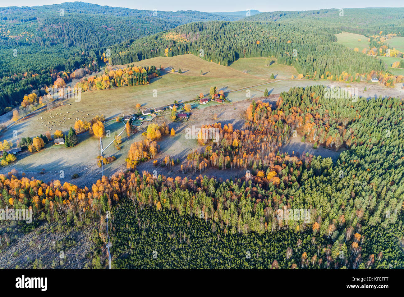 Aerial view on forest. Autumn in Sumava, Beautifully colored trees in ...