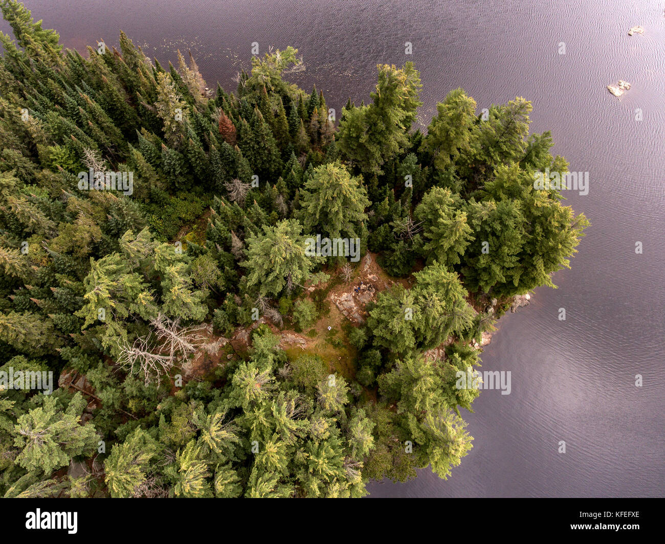 Beautiful small island with forest on calm lake shore near Algonquin ...