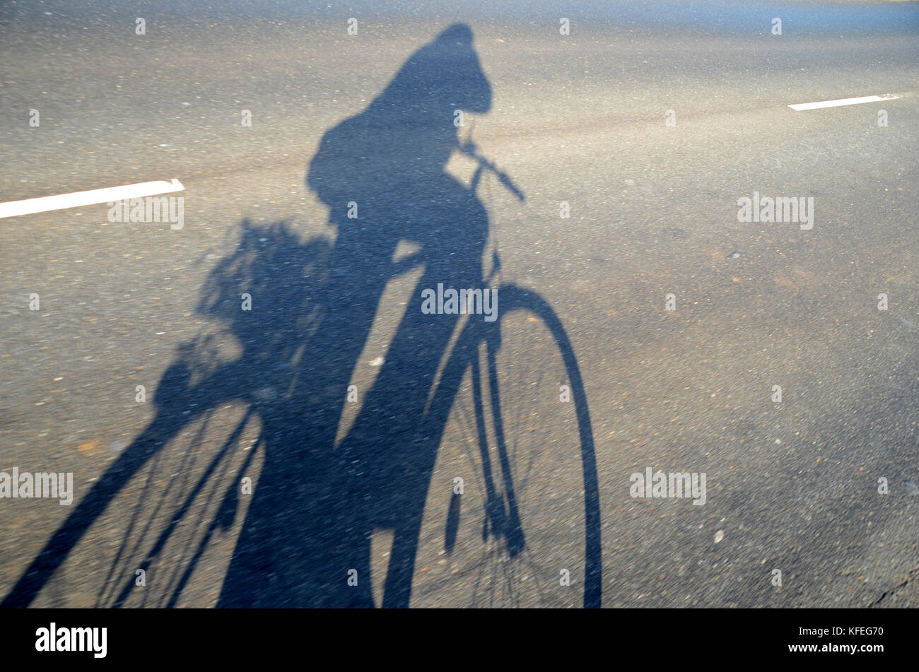 Selfie shadow portrait of a cyclist in motion seen on asphalt Stock ...