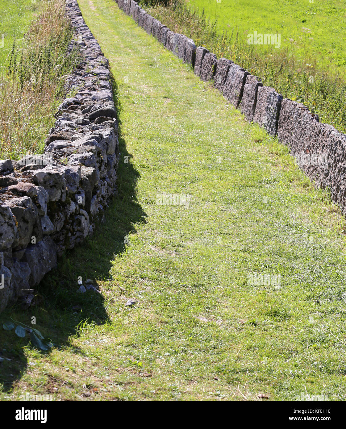 mule track with grass leading to infinity in the mountains Stock Photo ...