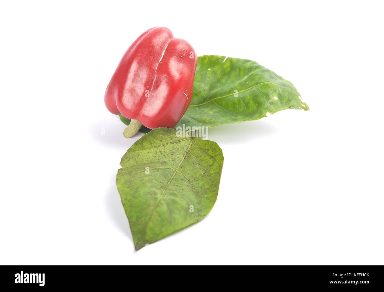 Red ball pepper on white Stock Photo - Alamy