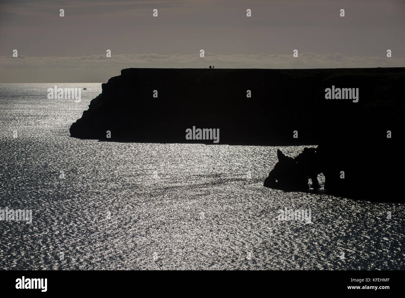 Stackpole Head headland and cliffs Pembrokeshire West Wales UK Stock ...