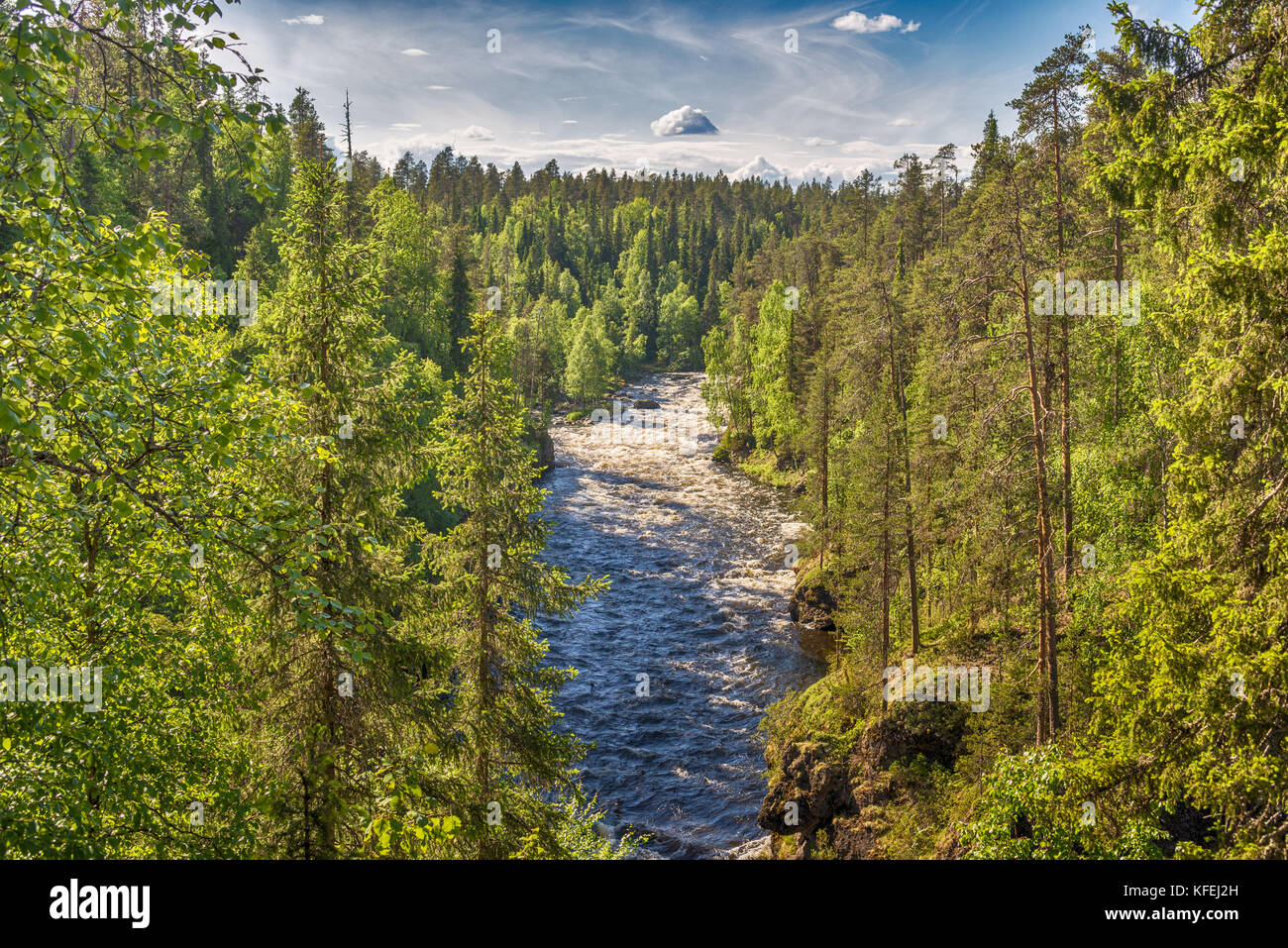 Summer landscape in Lapland. Finland national park Stock Photo - Alamy