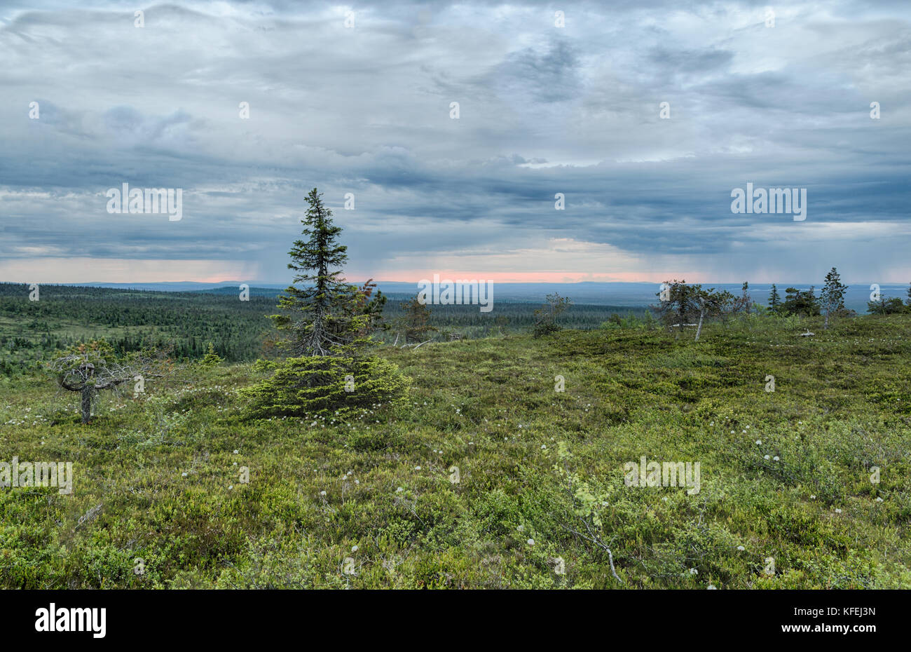 Finnish landscape summer hi-res stock photography and images - Alamy