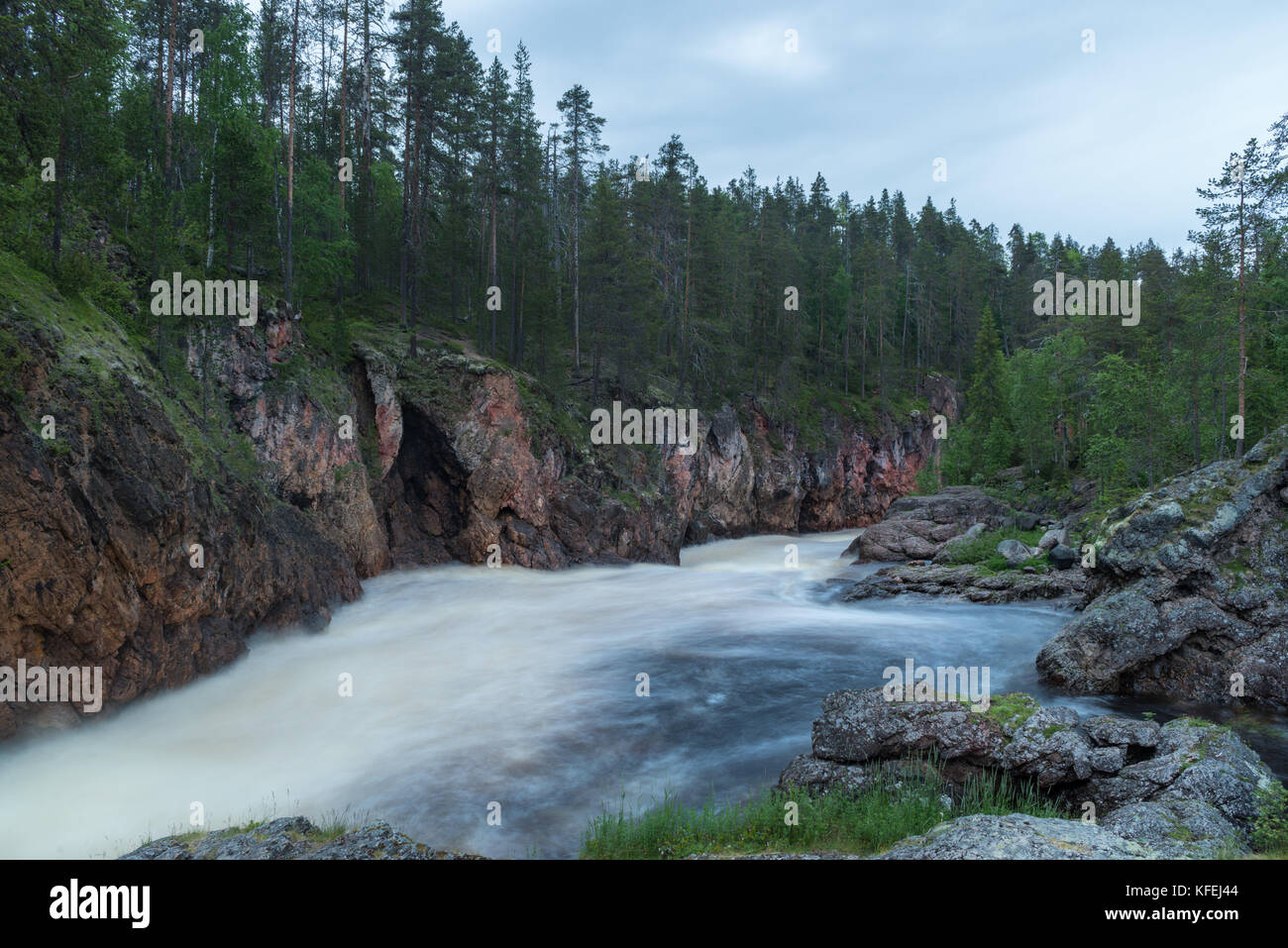 Summer landscape in Lapland. Finland national park Stock Photo - Alamy