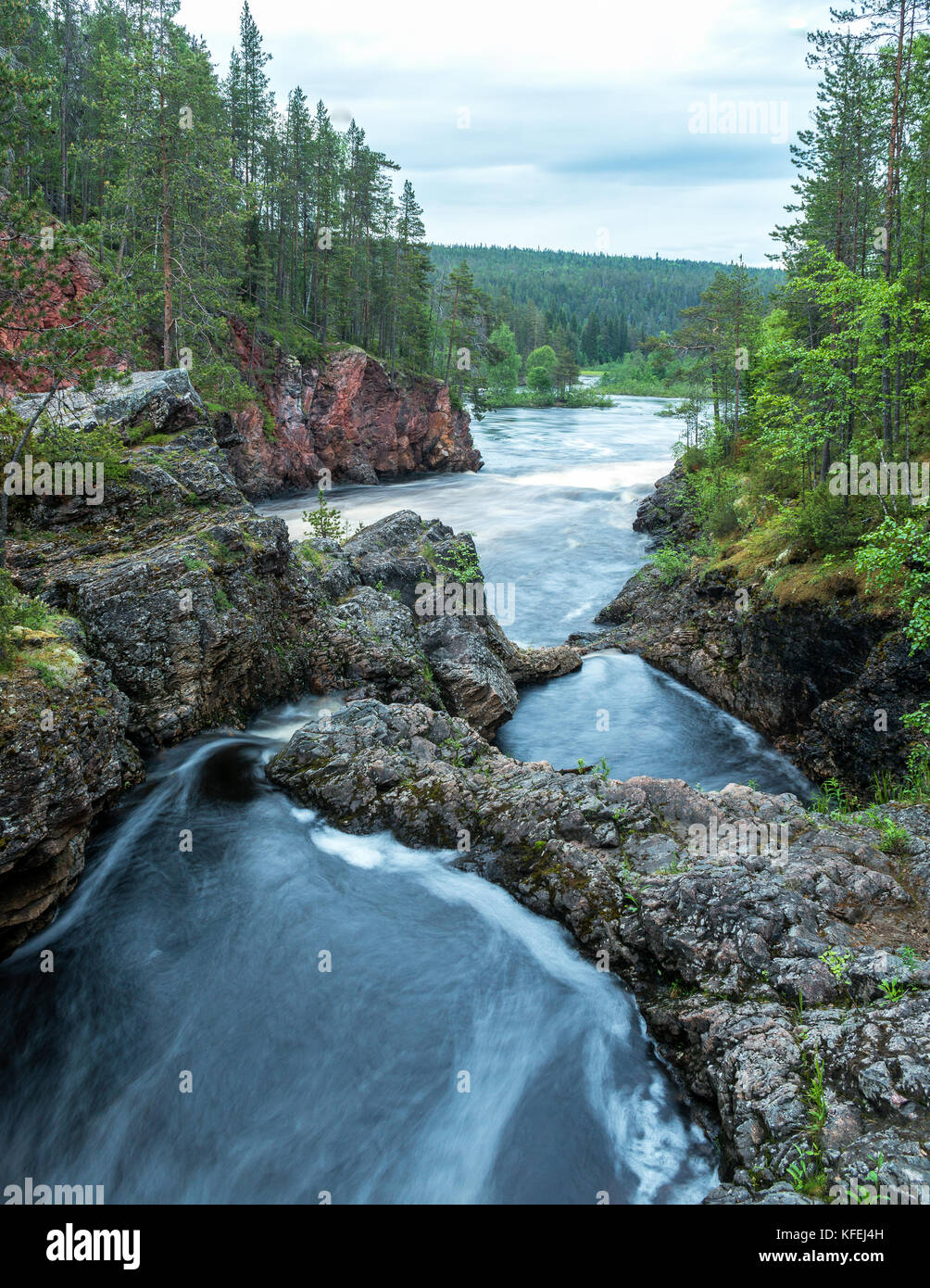 Summer landscape in Lapland. Finland national park Stock Photo - Alamy