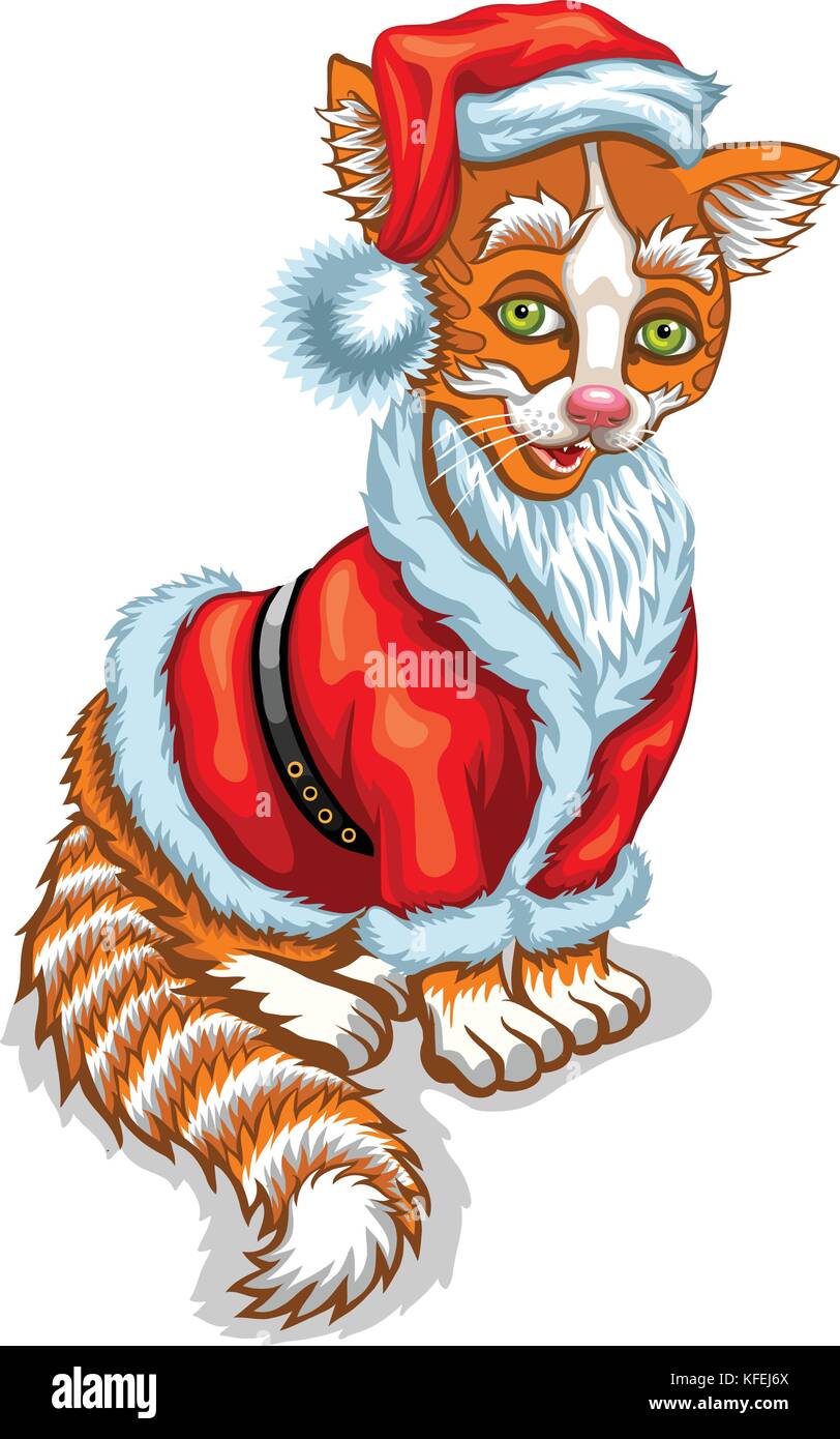 Cat Santa Claus. Christmas illustration Stock Vector Image & Art - Alamy
