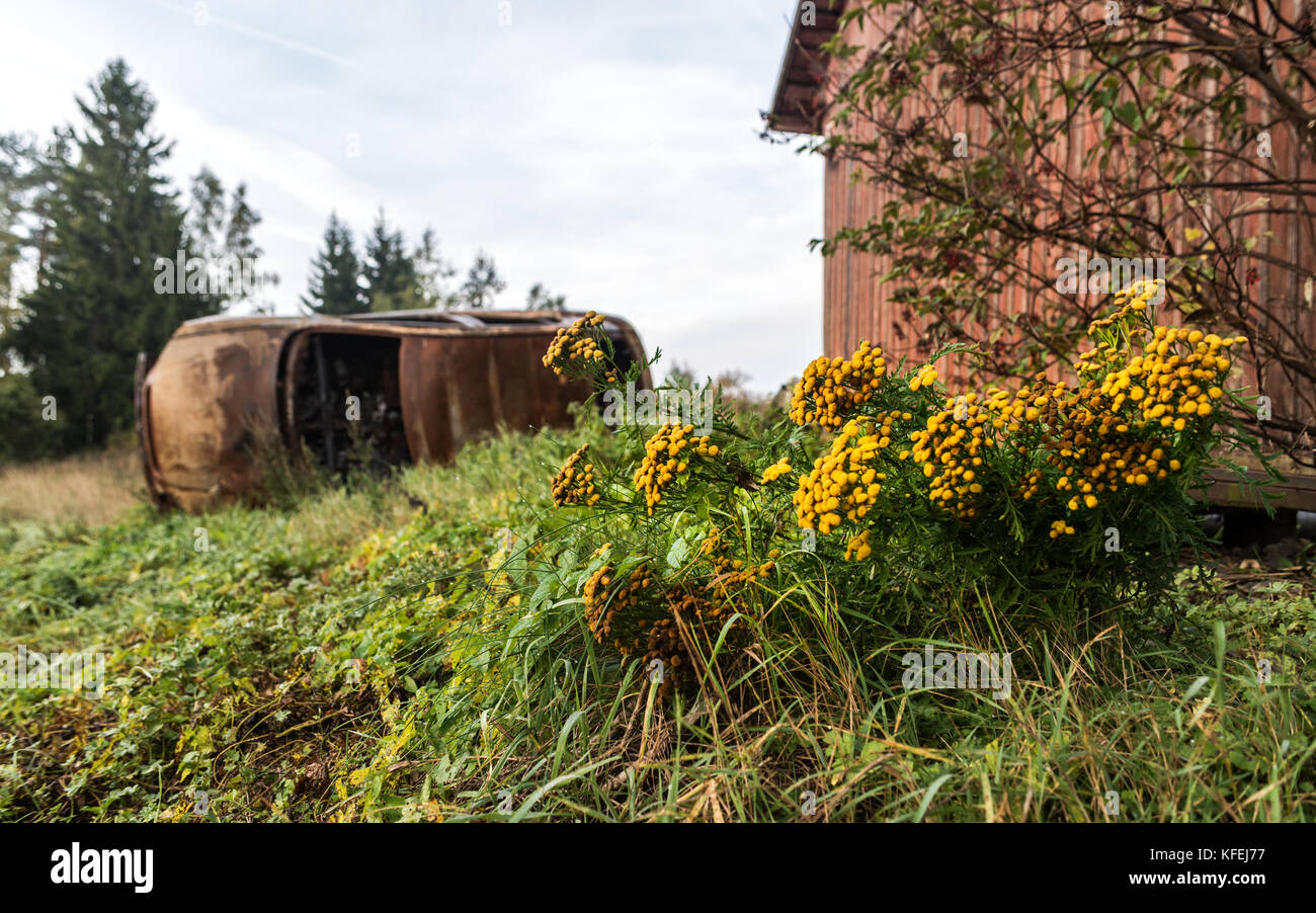 Old fallen and abandoned car background Stock Photo - Alamy