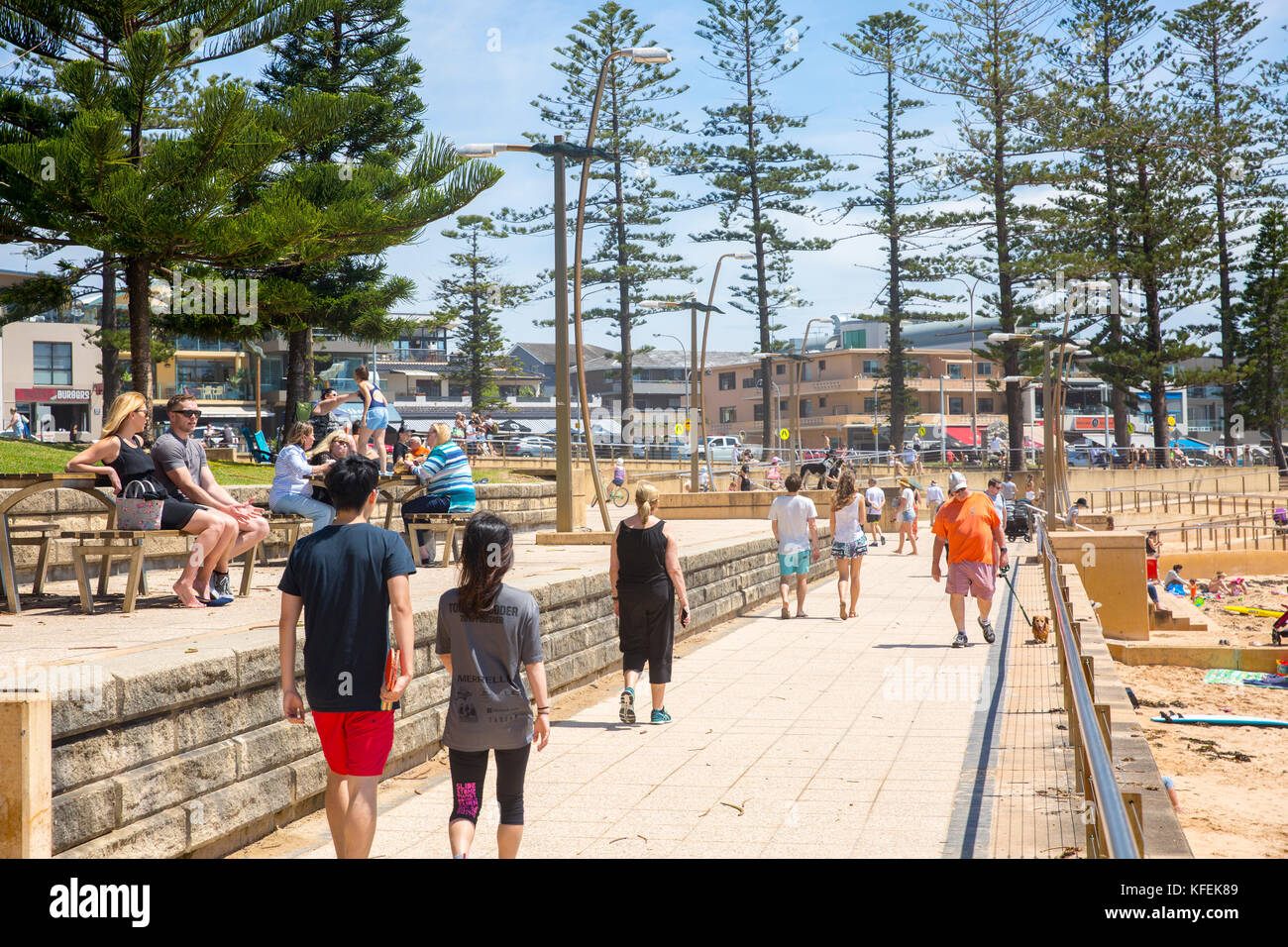 Dee why beach is a suburb on Sydney northern beaches,Sydney,Australia ...