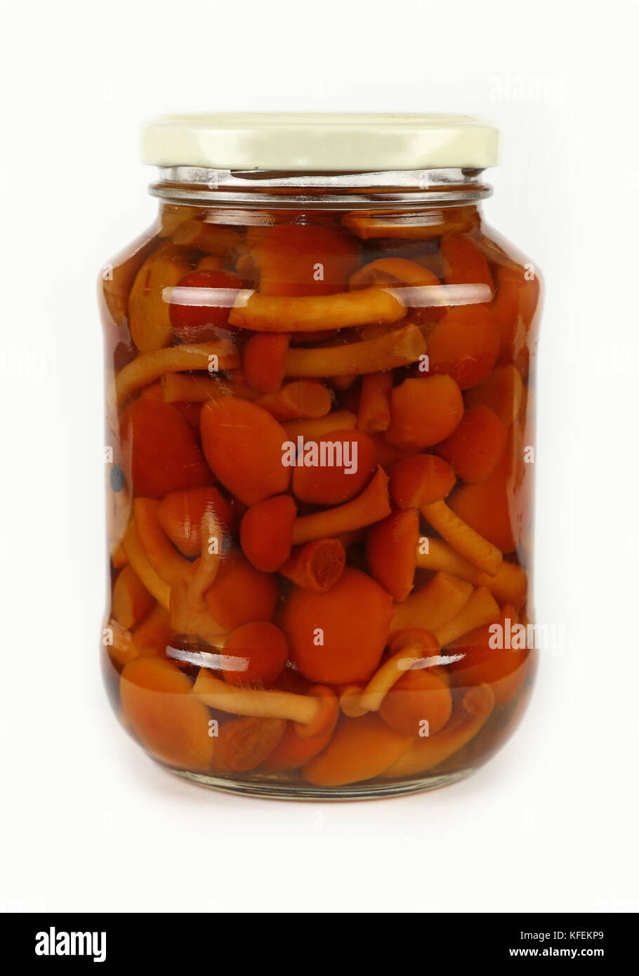 Close up of one glass jar of pickled small brown honey fungus ...