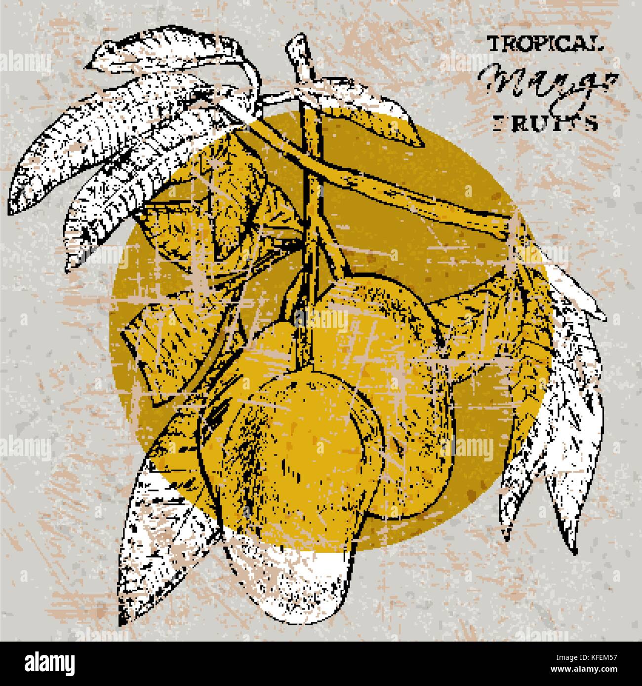 Hand drawn mango fruits card with leafs and mango slices and cubes ...