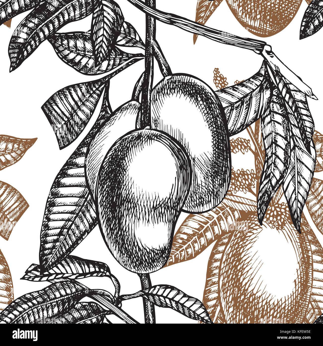 Hand drawn mango fruits card with leafs and mango slices and cubes ...