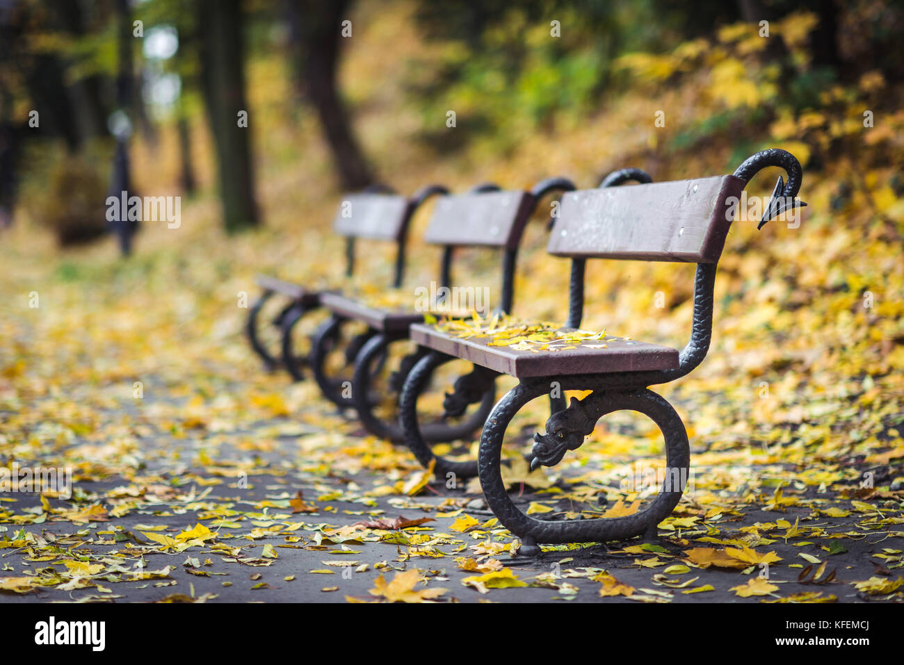 Bench in the park and yellow autumn leaves. Fall scenary Stock Photo ...