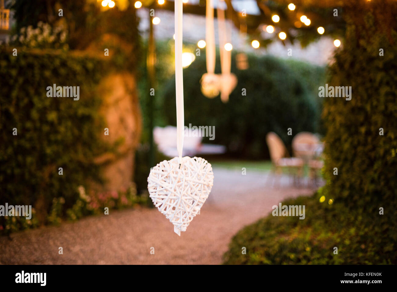 magnolia tree in luxurious villa garden illuminated with lights and ...
