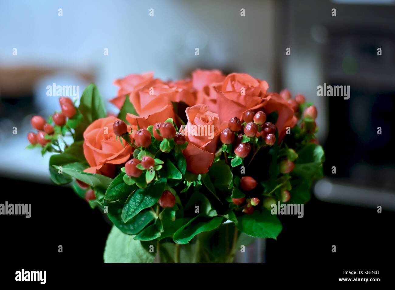 Dozen roses hi-res stock photography and images - Alamy