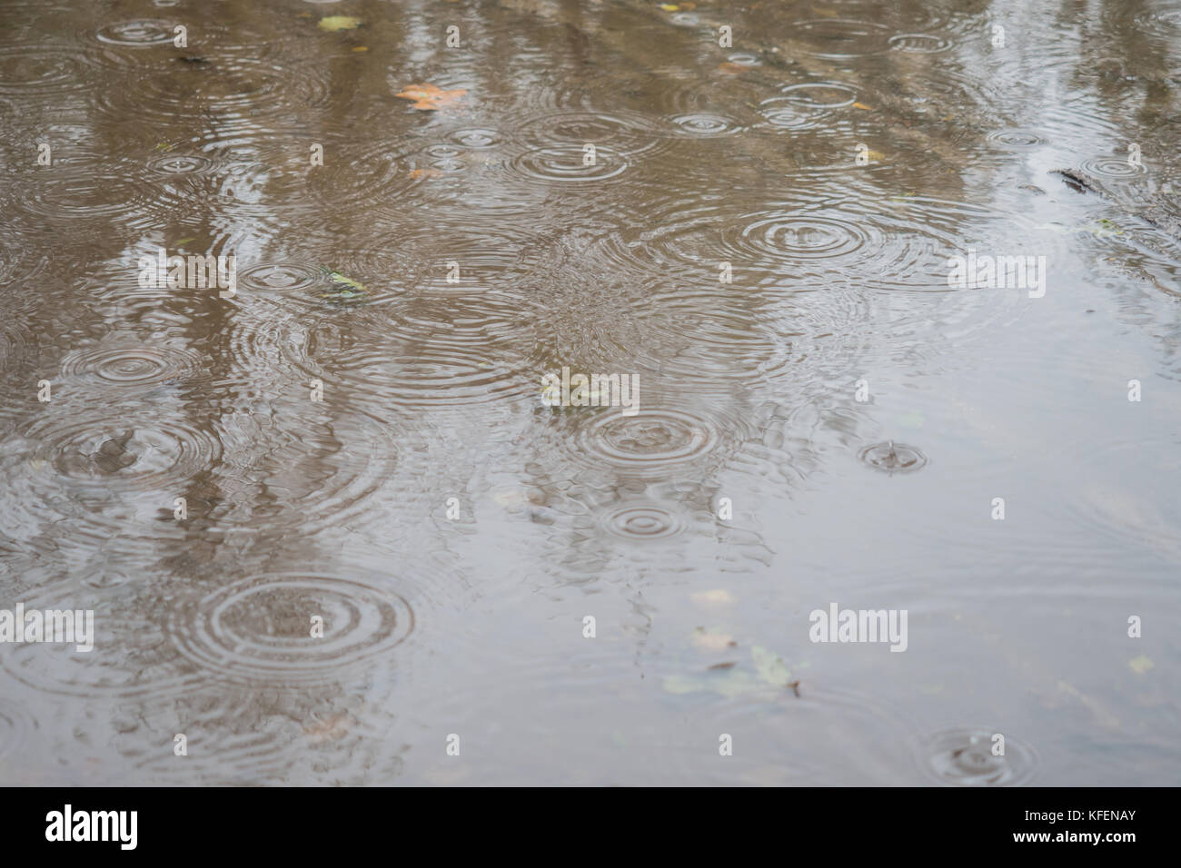 Rain drops falling puddle in hi-res stock photography and images - Alamy
