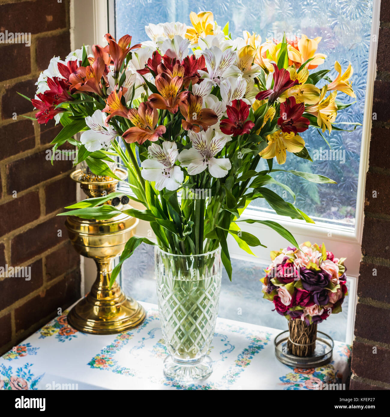 Inca lily hi-res stock photography and images - Alamy