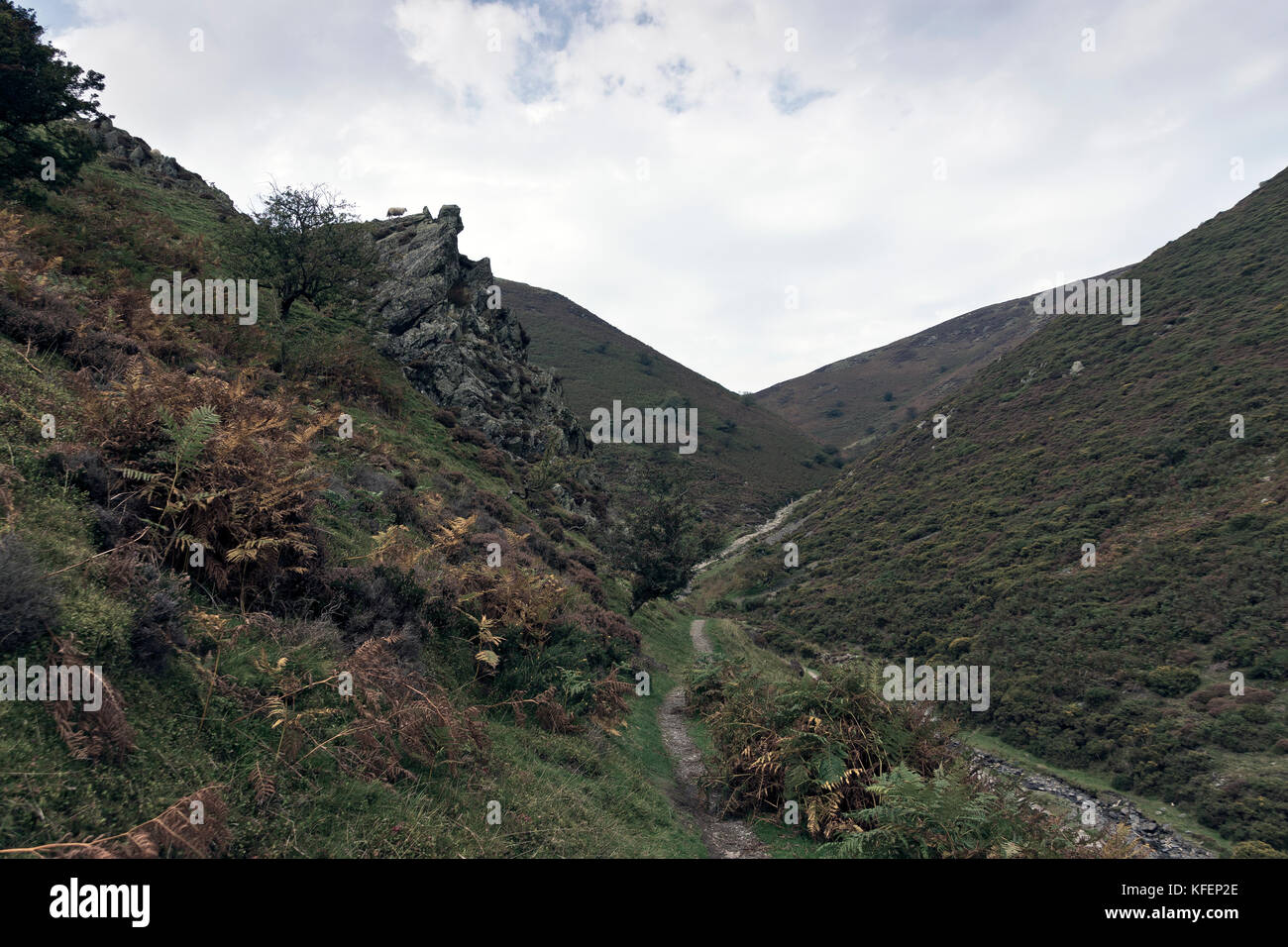 Carding Mill Valley, Church Stretton, Shropshire UK Stock Photo - Alamy