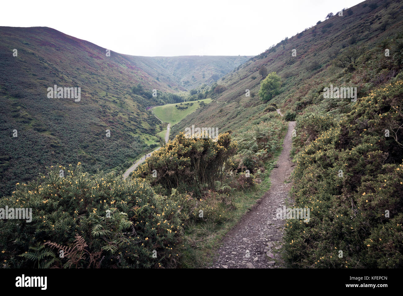 Carding mill valley reservoir hi-res stock photography and images - Alamy