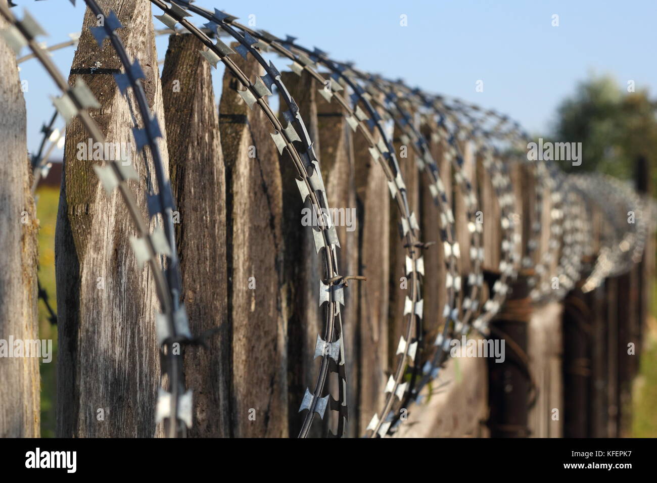 Old wooden fence with barbed wire perspective photo Stock Photo - Alamy