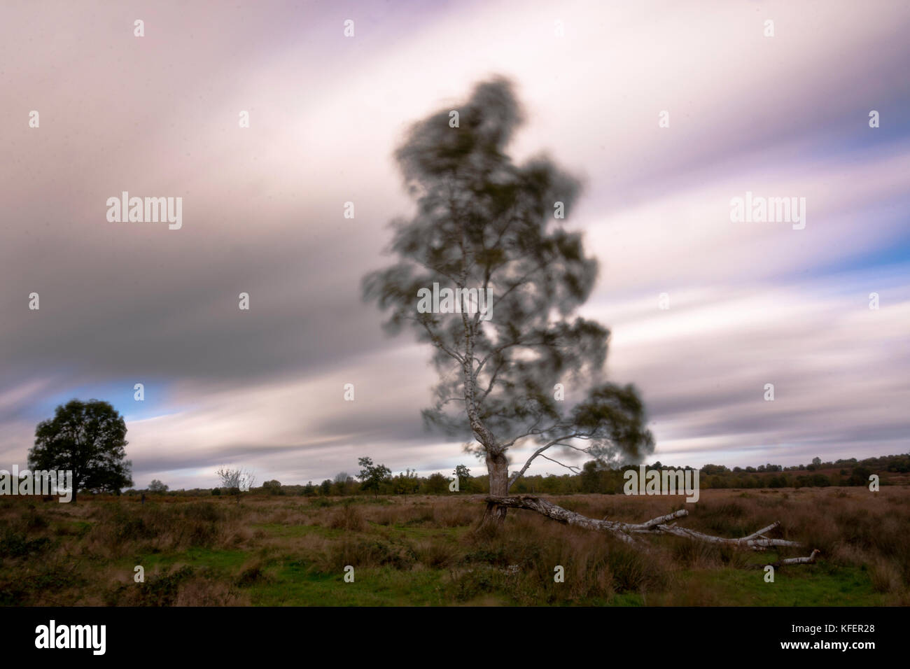 Mud streaks hi-res stock photography and images - Alamy