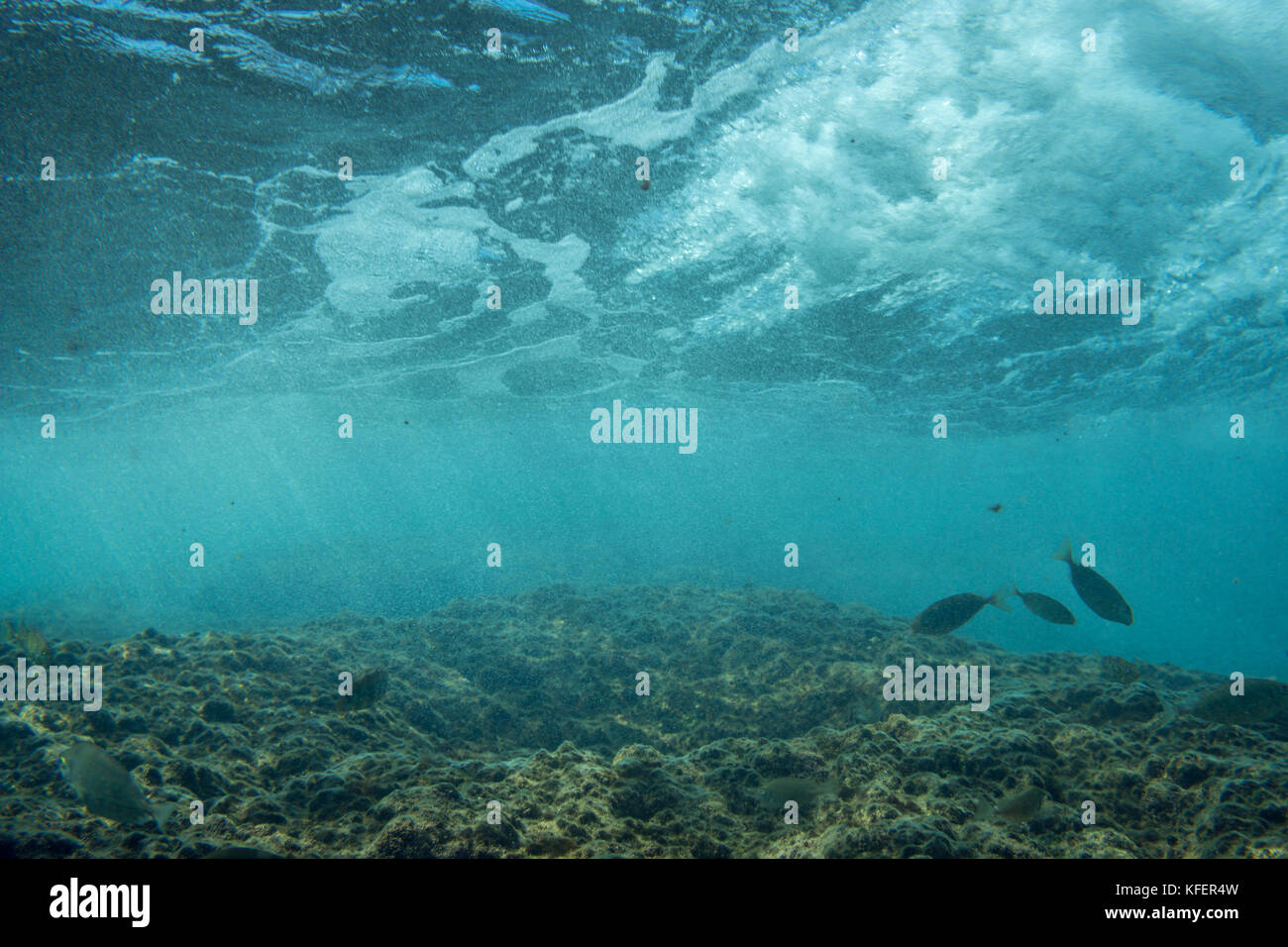 Light and Shade Underwater Stock Photo - Alamy