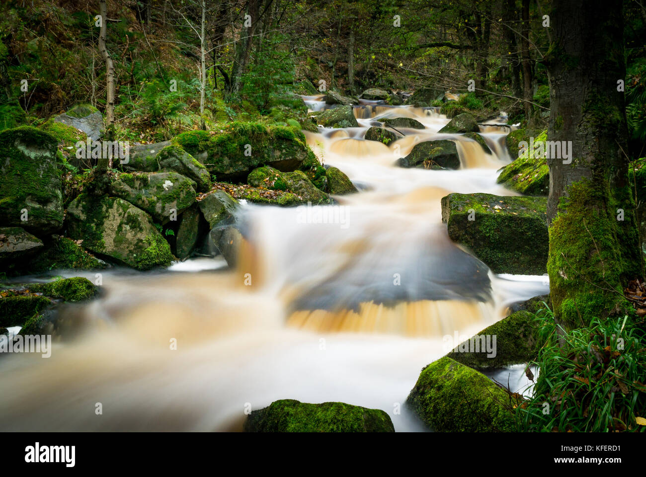 Smooth nature hi-res stock photography and images - Alamy