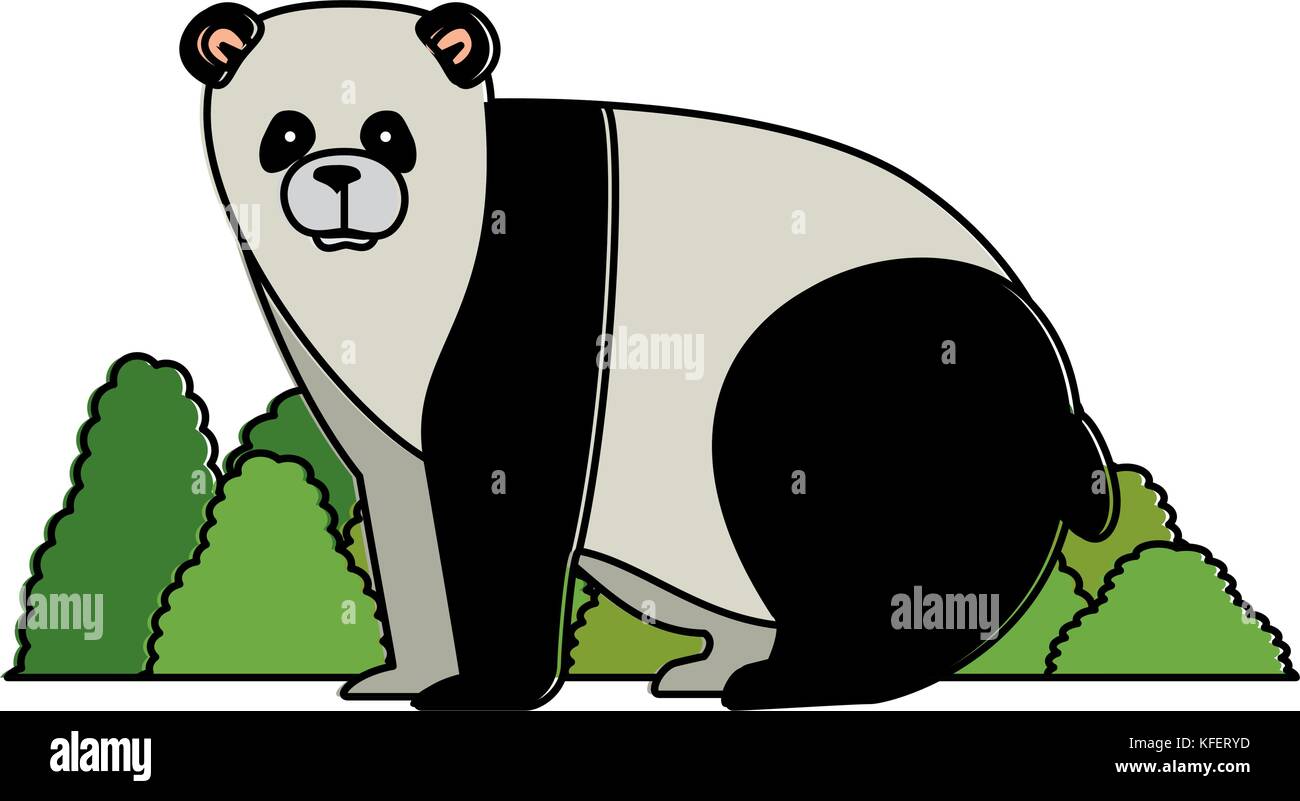 wild bear panda with bush vector illustration design Stock Vector Image ...