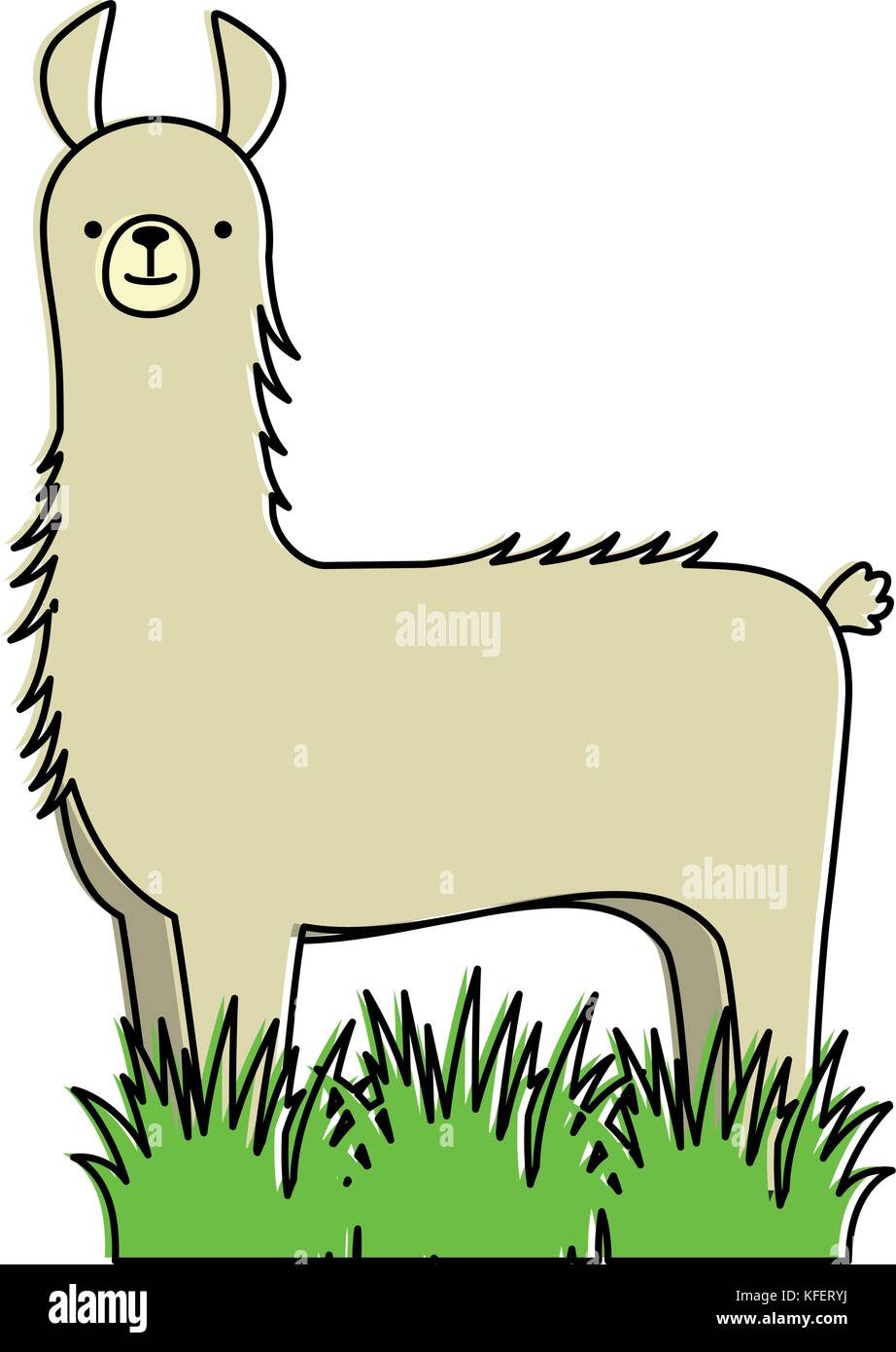 peruvian llama in jungle vector illustration design Stock Vector Image ...