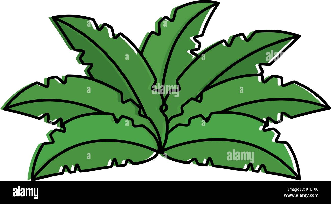 exotic jungle bush icon vector illustration design Stock Vector Image ...