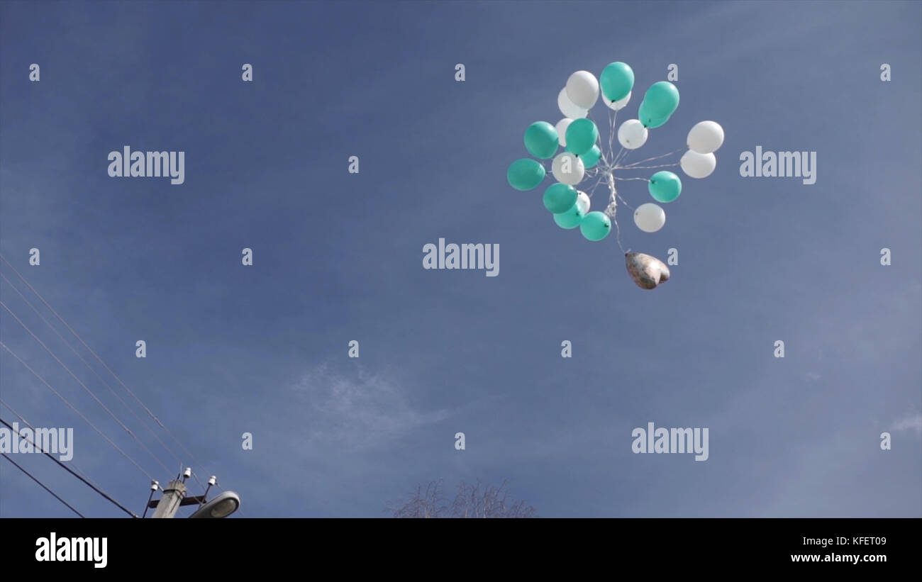 Blue birthday party balloons flying. A planty of blue balloons in the ...