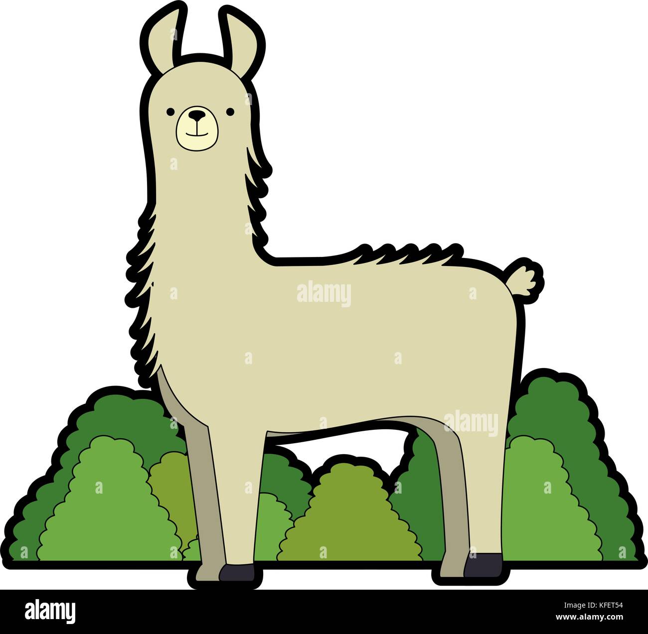 peruvian llama in jungle vector illustration design Stock Vector Image ...