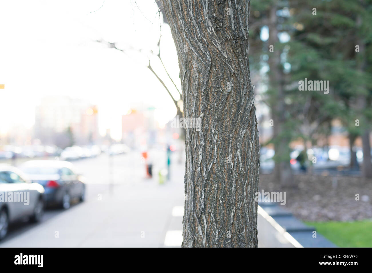 Calgary downtown in fall Stock Photo - Alamy
