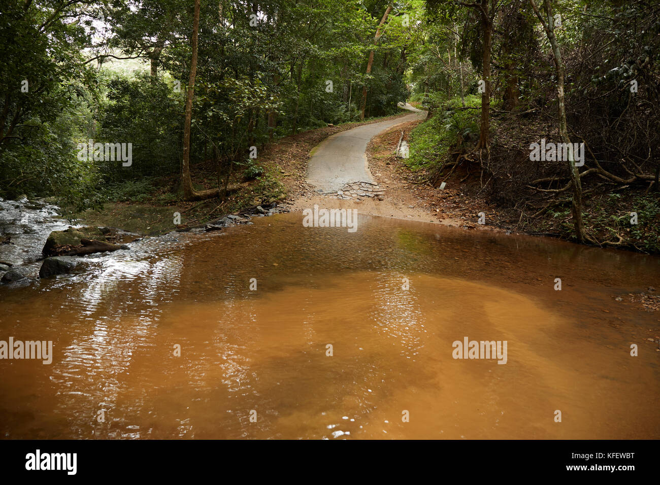 Flooded forest road with muddy water. Danger of traffic in countryside ...