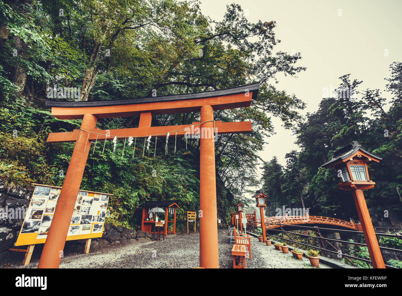 red Torii gate with red wooden Shinkyo bridge and green forest after ...