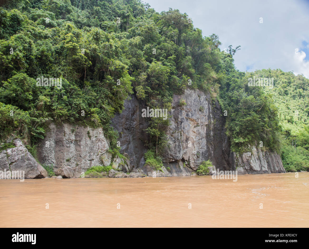 Rock face with lush tropical rainforest greenery along the Navua River ...