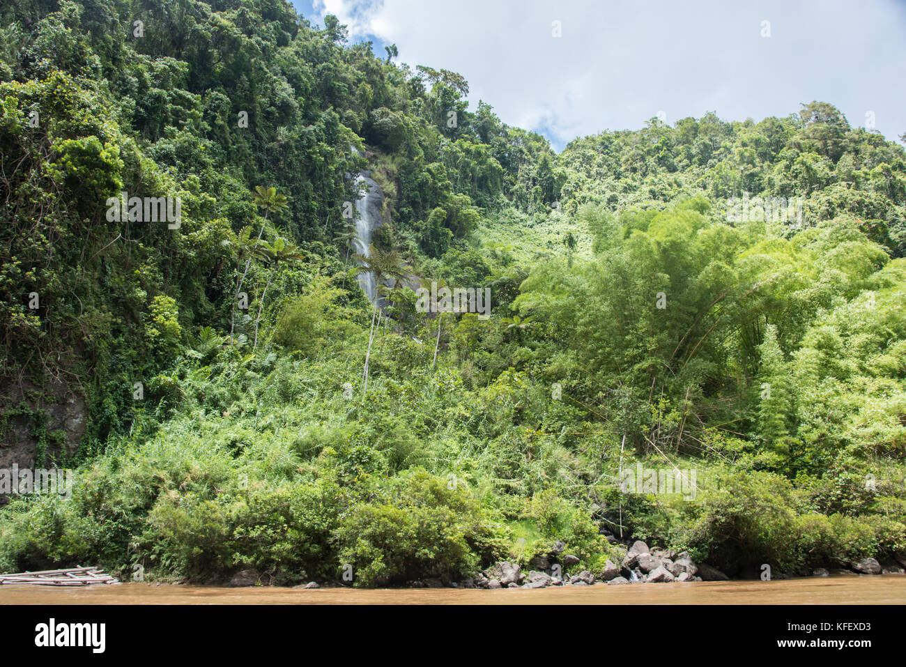 Majestic waterfall flowing in the tropical rainforest landscape under a ...