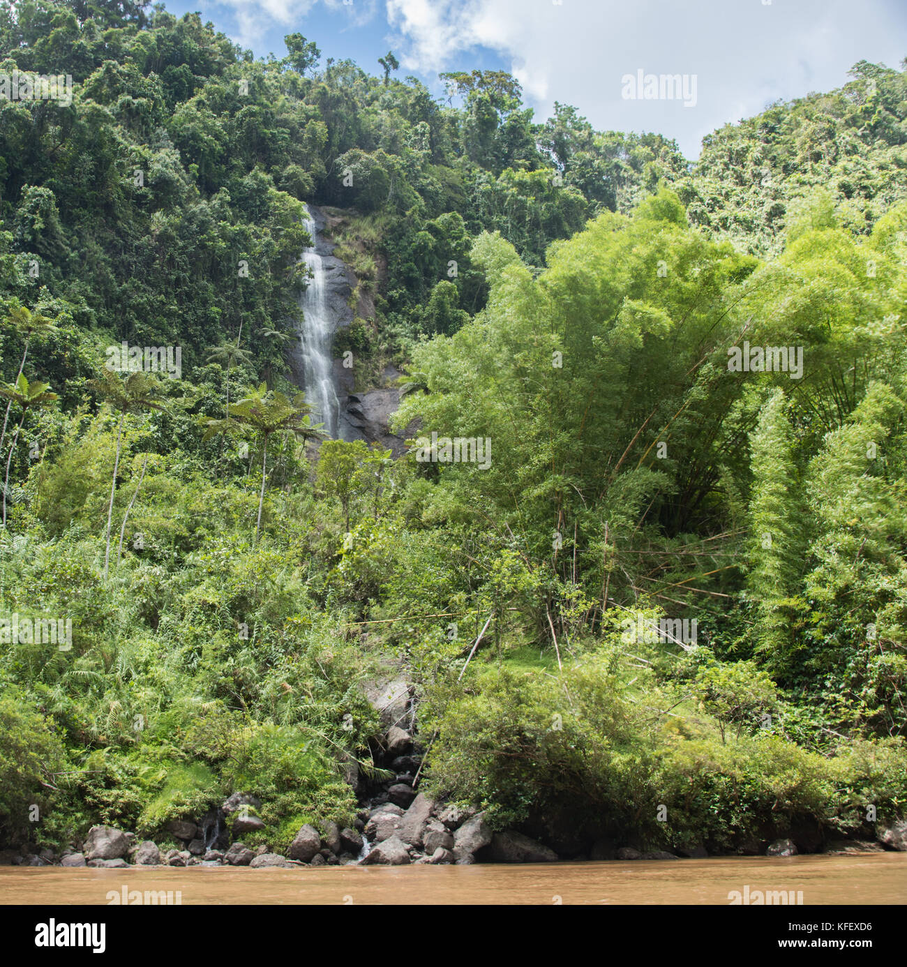 Majestic waterfall flowing in the tropical rainforest landscape under a ...