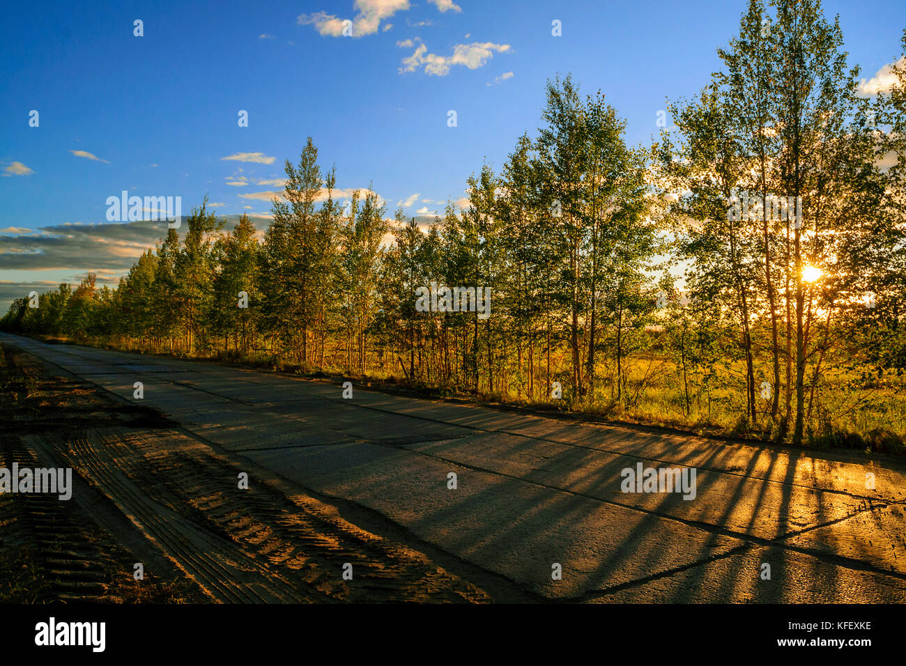 Road of concrete slabs in autumn with the sunbeams of light making the ...