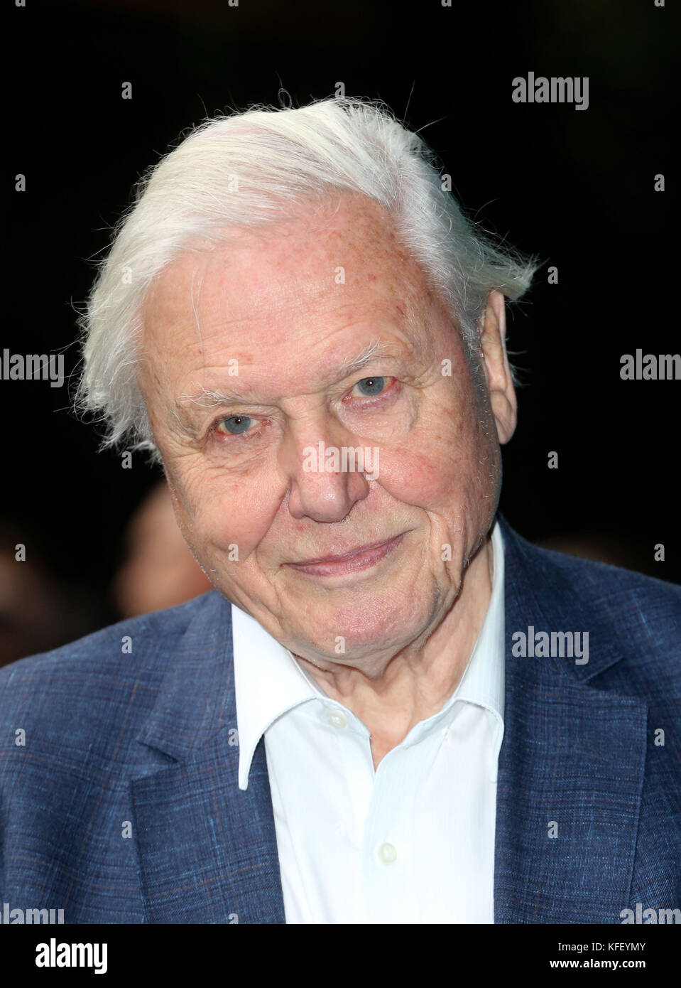 World Premiere of 'Blue Planet II' in London Featuring: Sir David ...