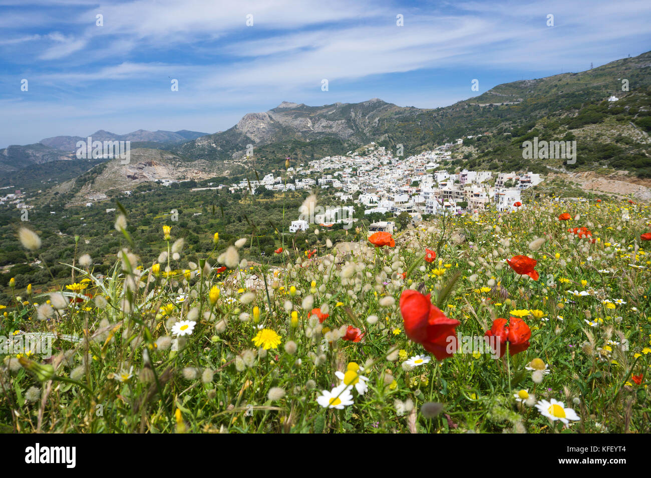 View over a flower meadow on the village Filoti, Naxos island, Cyclades ...