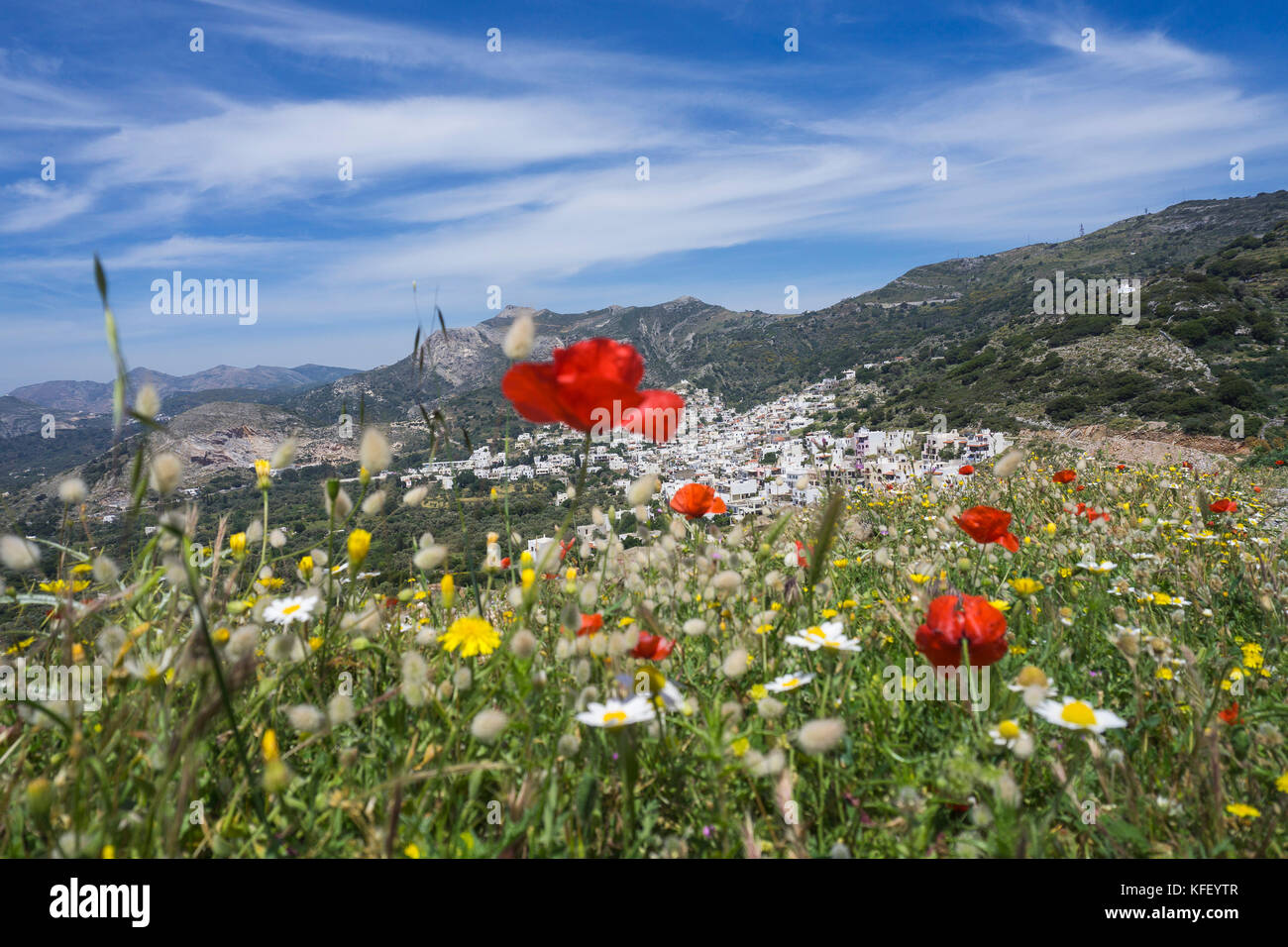 View over a flower meadow on the village Filoti, Naxos island, Cyclades ...