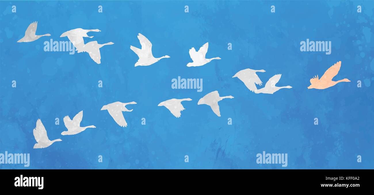 Flock of birds Leadership concept Stock Vector Image & Art - Alamy