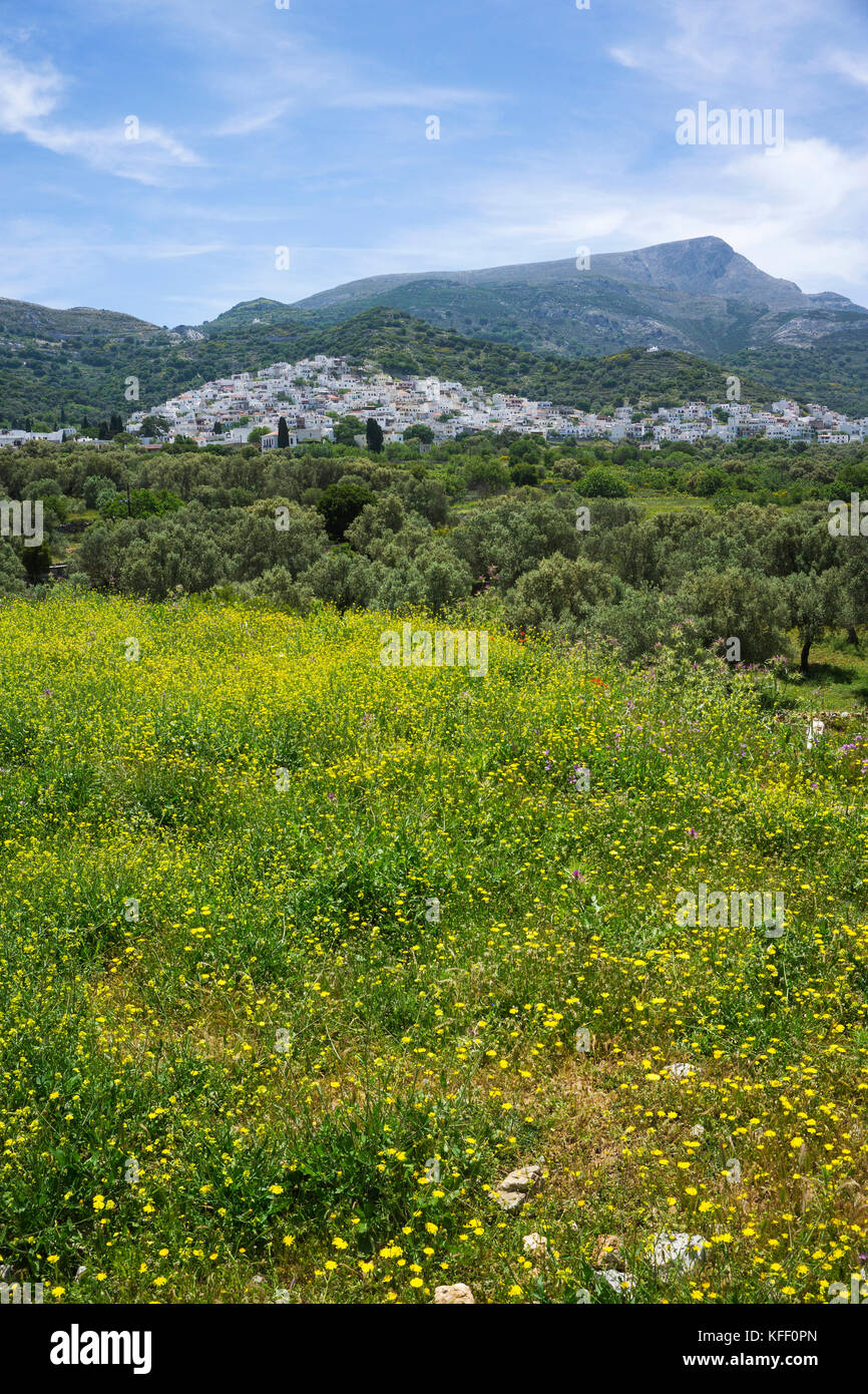 The village Filoti, Naxos island, Cyclades, Aegean, Greece Stock Photo ...