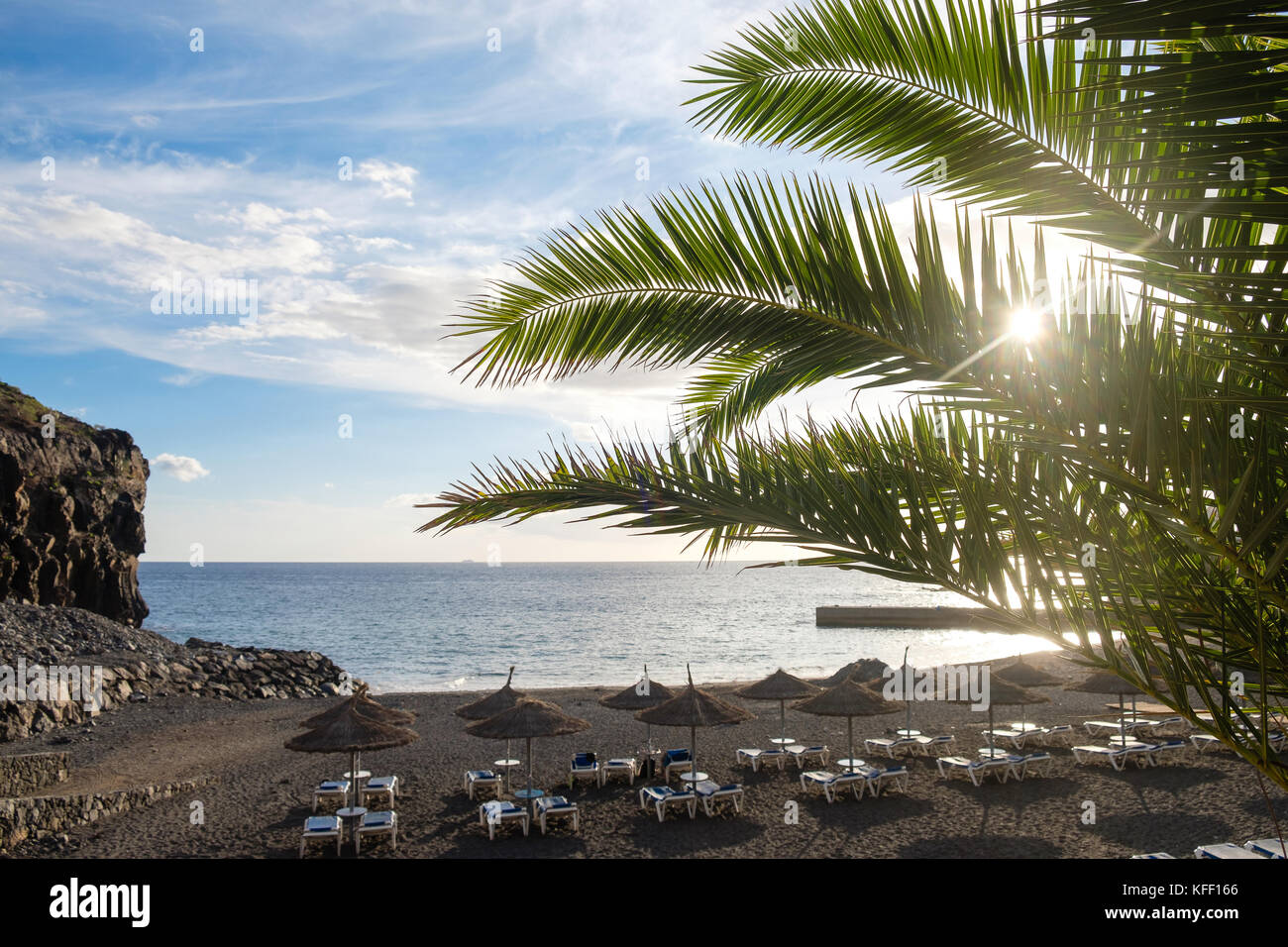 Through palm tree hi-res stock photography and images - Alamy