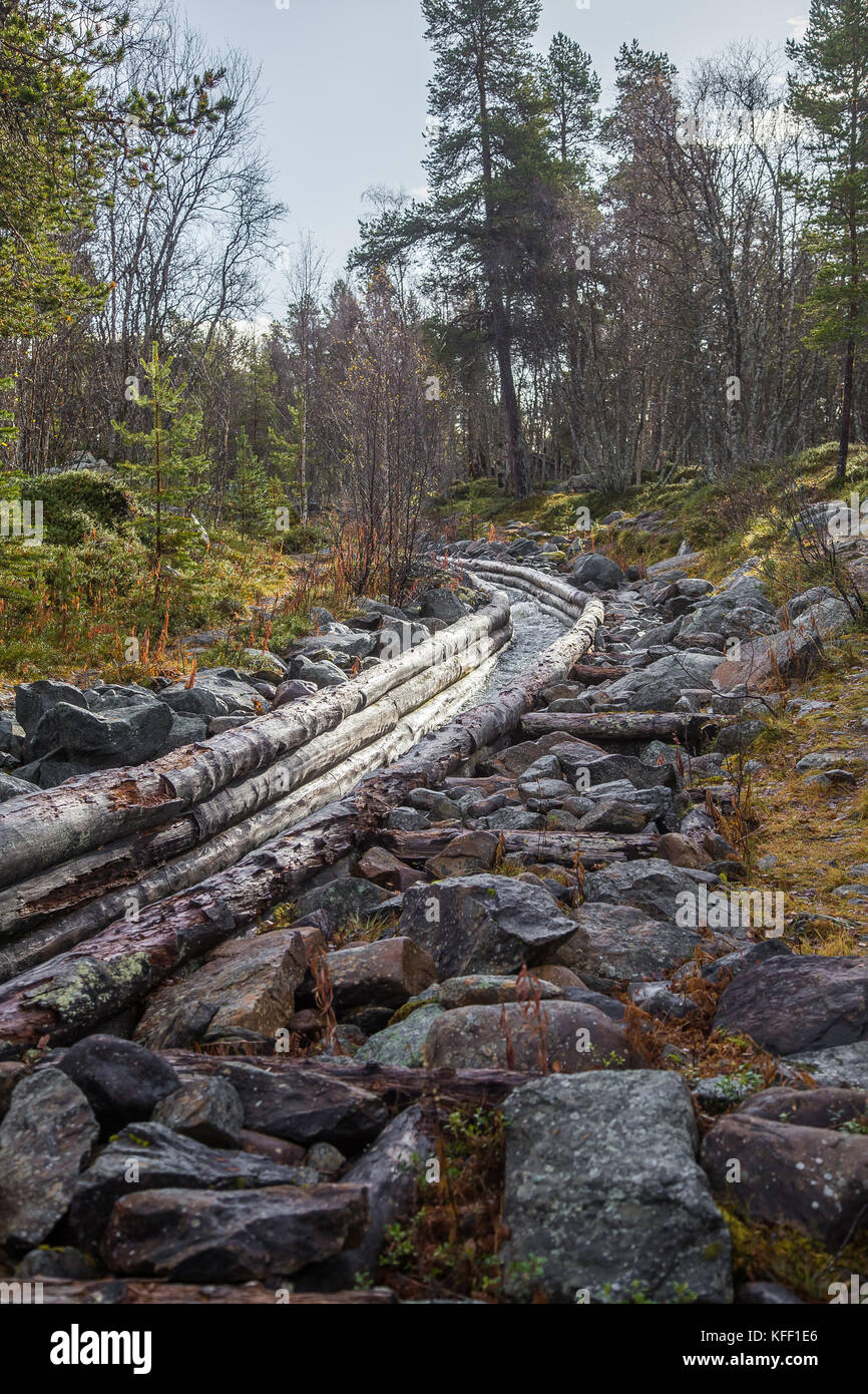 Transporting timber for hi-res stock photography and images - Alamy