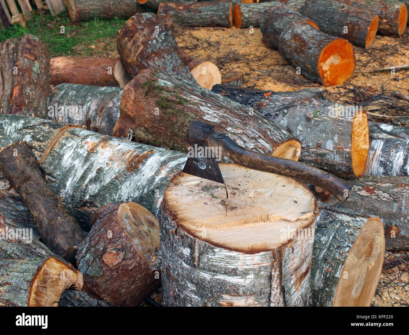 Big firewood logs for splitting and an axe Stock Photo - Alamy