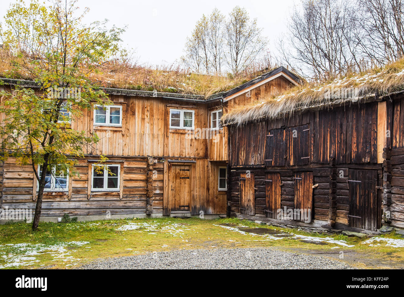 A beautiful wooden house in the forest with a grass and moss growing on ...